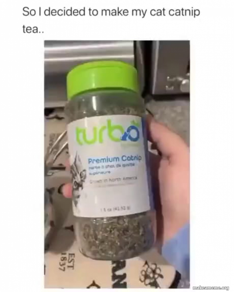 - TheAbbie: Derp cat Meme Generator