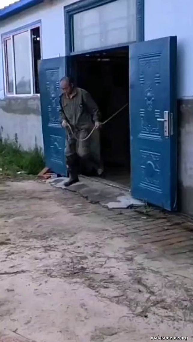 - TheAbbie: Gigantic tippy taps Meme Generator