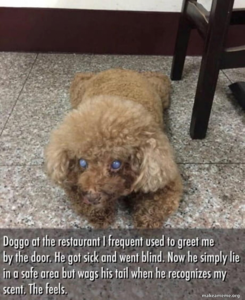 - TheAbbie: He still remembers Meme Generator