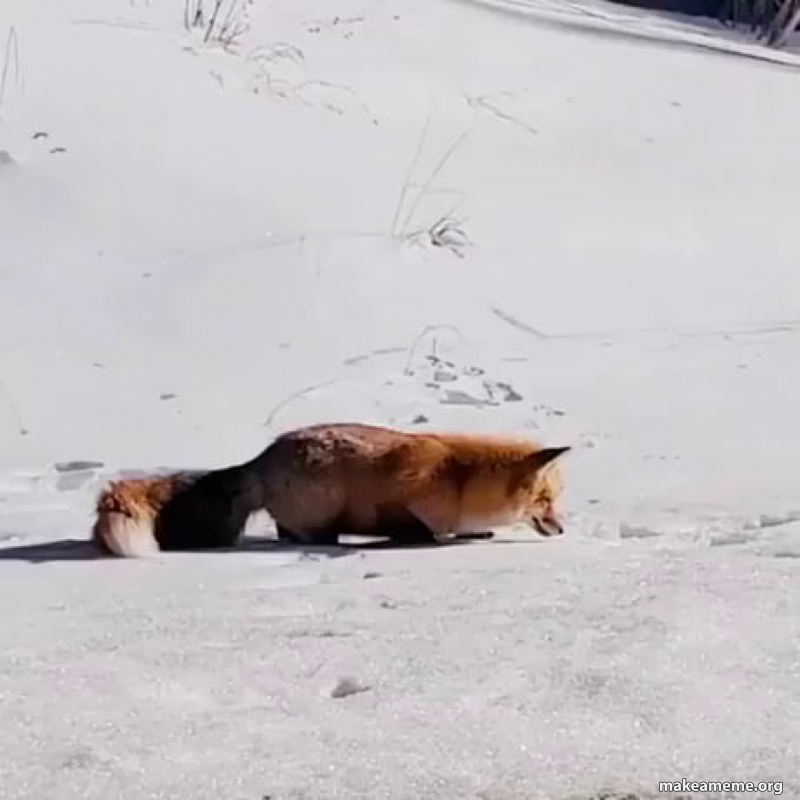 - TheAbbie: How smooth that jump was Meme Generator