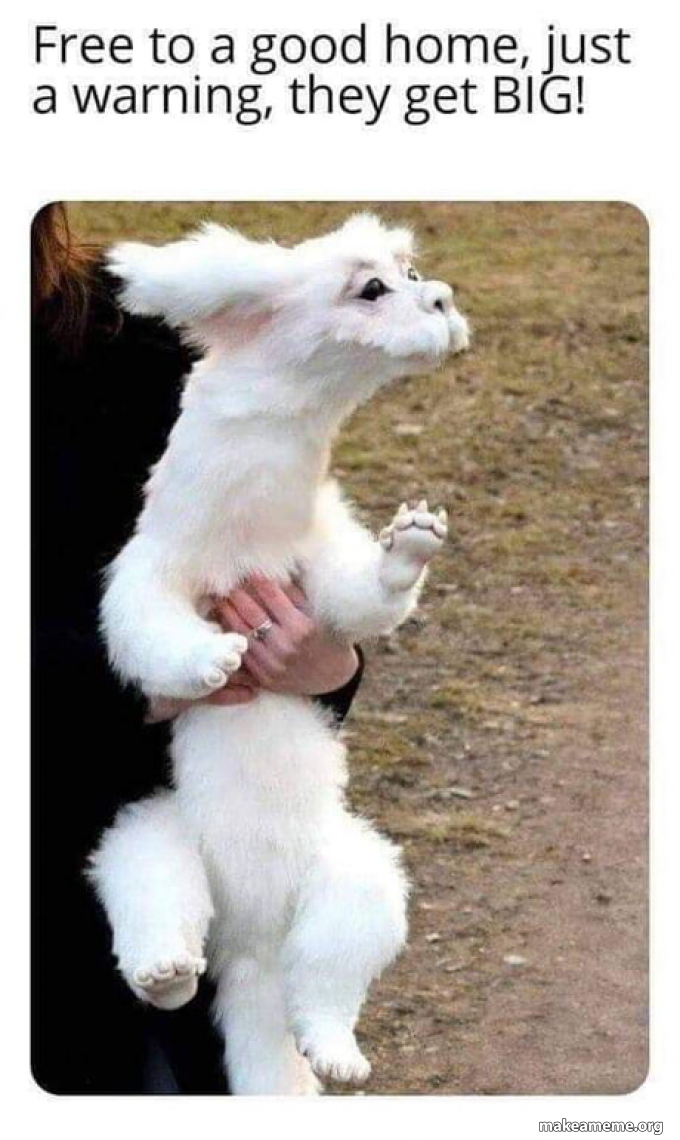 - TheAbbie: I Meme Generator