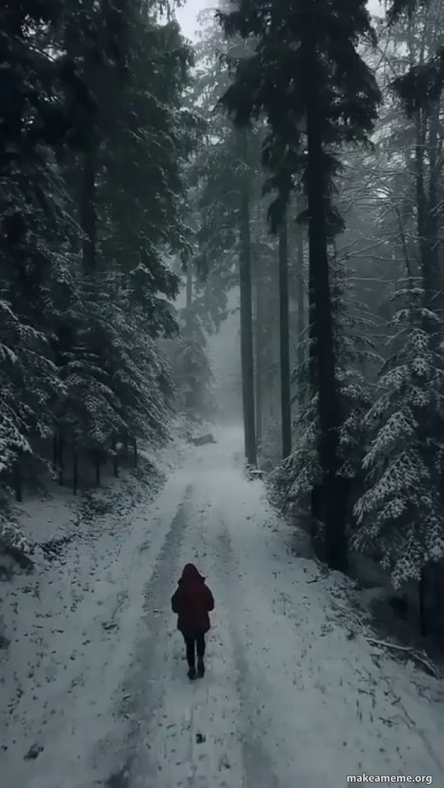 - TheAbbie: Moody winter days at the Black Forest in Germany Meme Generator