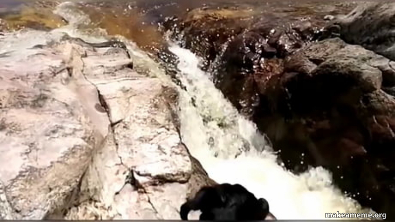 - TheAbbie: One of the Most Wholesome Saves I Meme Generator