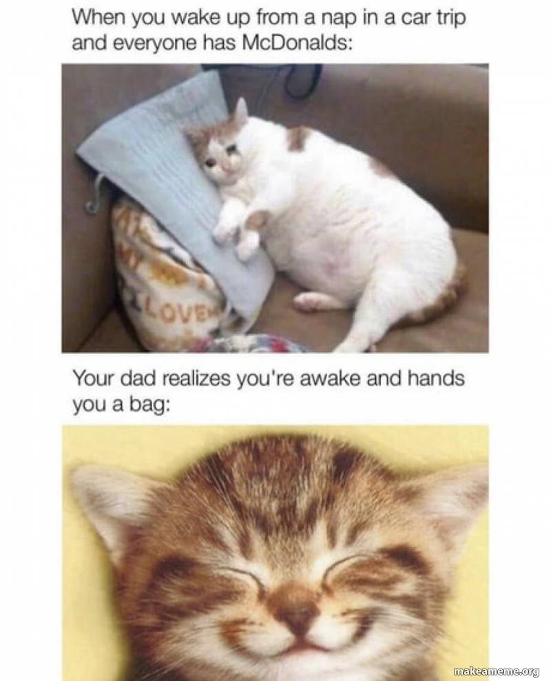 - TheAbbie: Thanks dad! Meme Generator