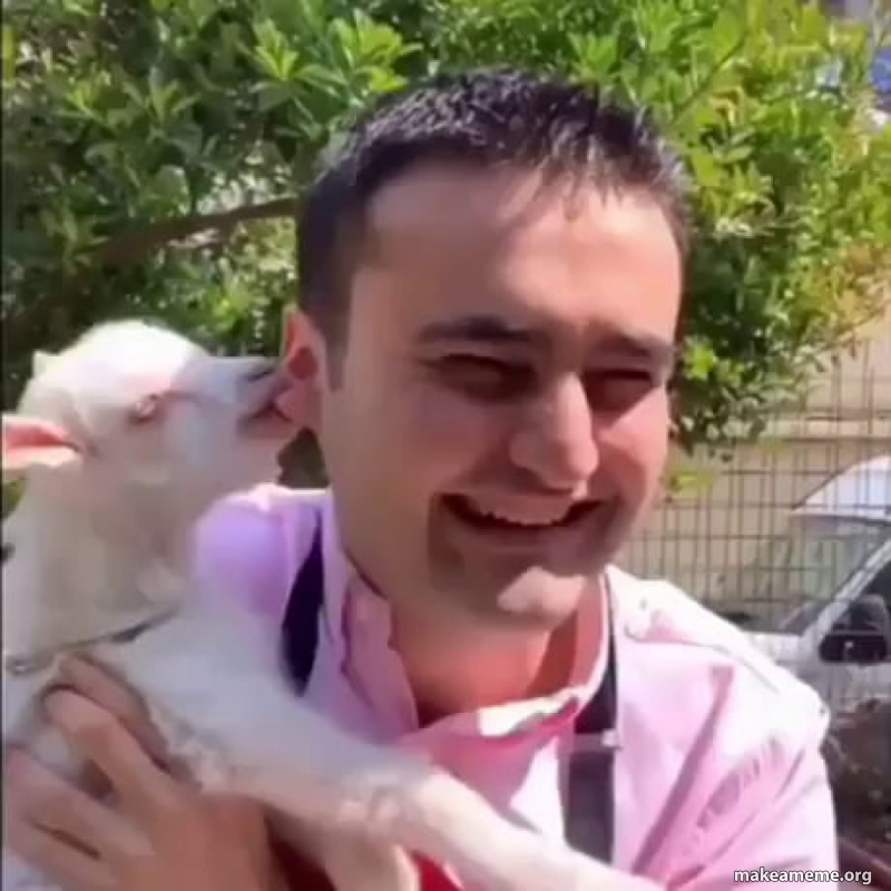 - TheAbbie: True animal lover Meme Generator