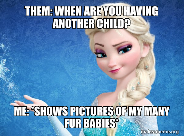 Them: When are you having another child? Me: *shows pictures of my many ...