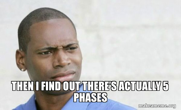 Then I find out thereâ€™s actually 5 phases - Confused Black Man Meme ...