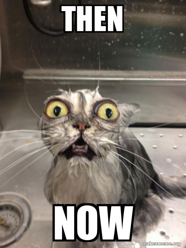 then now - Cat bath Meme Generator