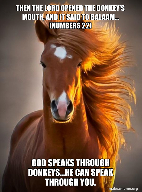 Then the Lord opened the donkey’s mouth, and it said to Balaam ...