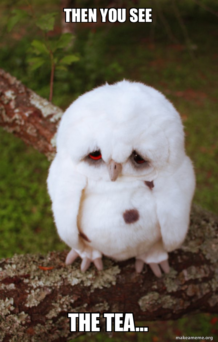 then you see the tea... - Sad Owl Meme Generator