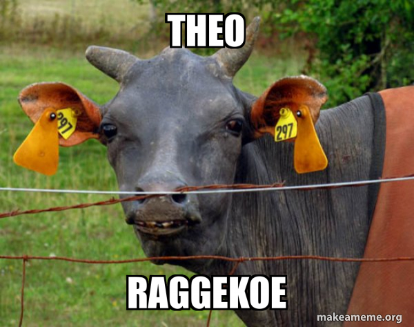 Theo Raggekoe - Hairless Cow Meme Generator