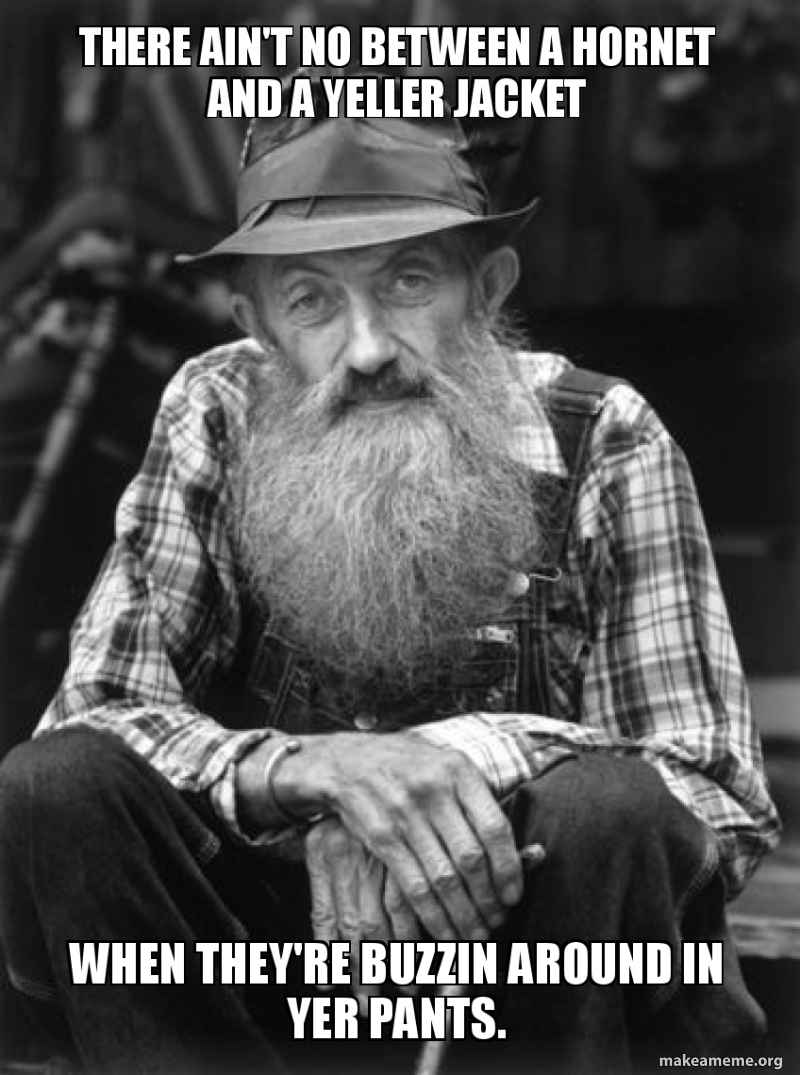 there ain't no between a hornet and a yeller jacket when they're buzzin ...