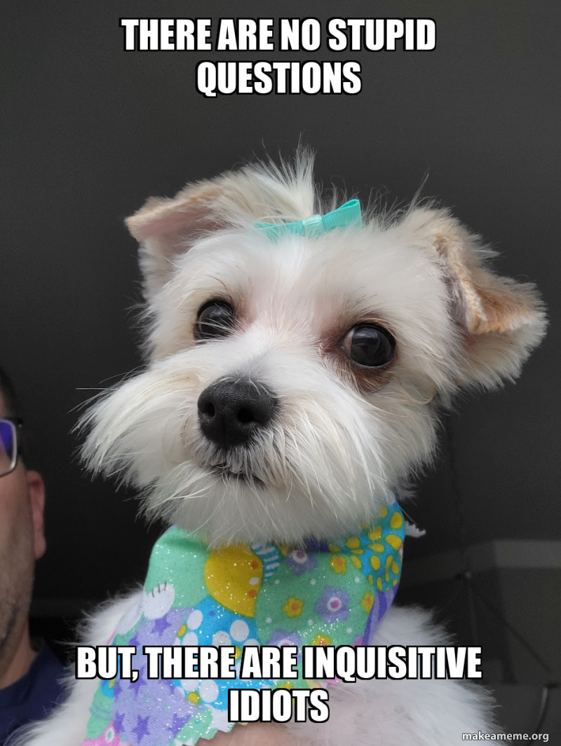 There are no stupid questions But, there are inquisitive idiots Meme ...