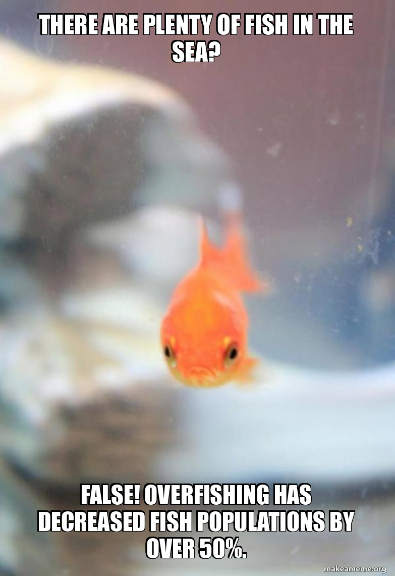 There are plenty of fish in the sea? False! Overfishing has decreased ...