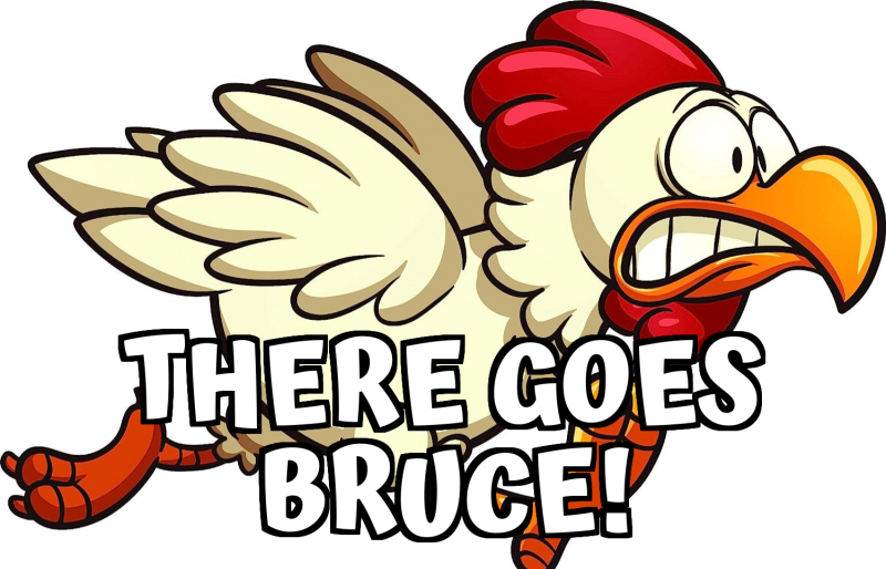 There goes bruce! Meme Generator
