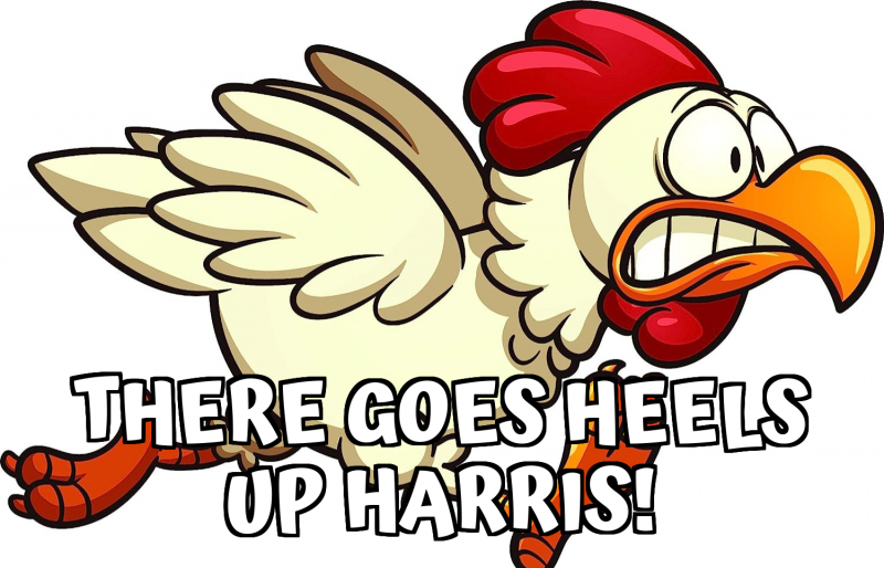 There goes heels Up harris! Meme Generator