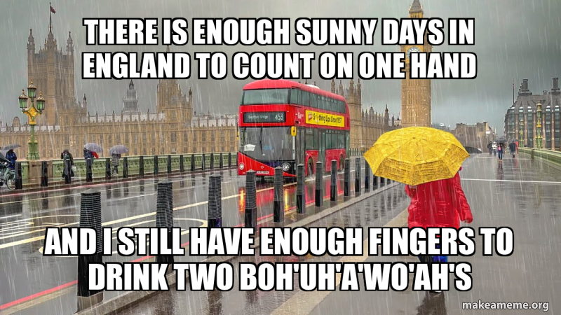 there is enough sunny days in england to count on one hand and i still ...