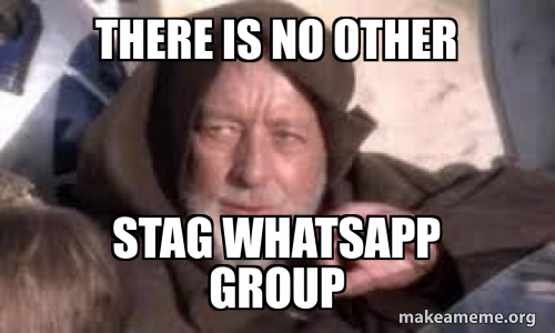 There is no other stag WhatsApp group Meme Generator