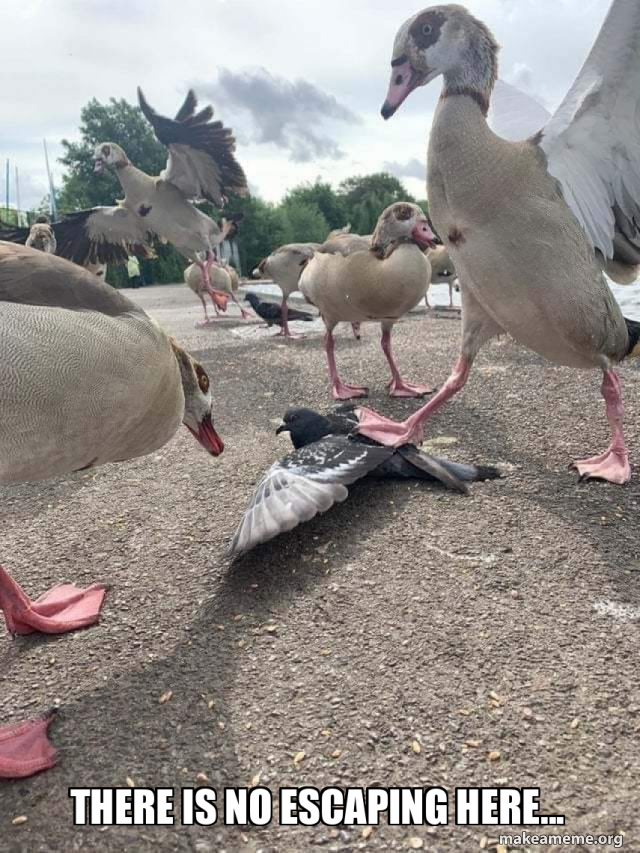 there is no escaping here... Meme Generator