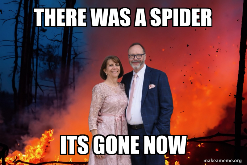 There was a SPIDER its gone now Meme Generator