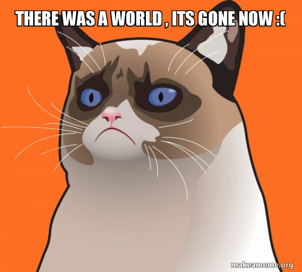 There was a world , its gone now :( - Cartoon Grumpy Cat Meme Generator