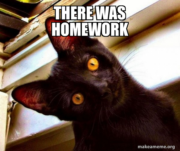 there was homework - Overly Attached Cat Meme Generator