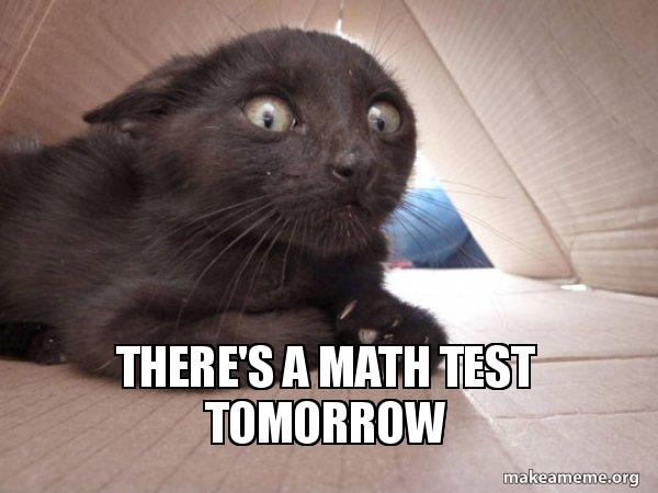 Meme Math Test Tomorrow Ibdp Ib Maths Aa Hl GIF Ibdp Ib Ib Maths Aa