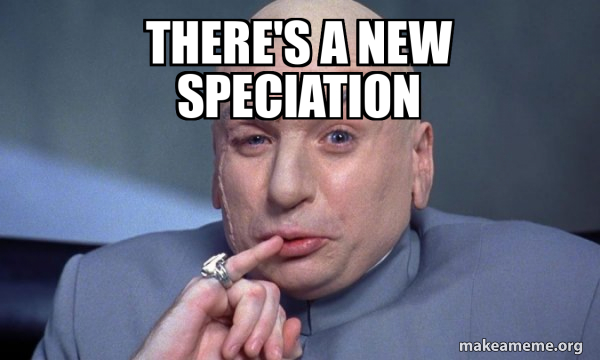 there's a new speciation - You Complete Me Meme Generator