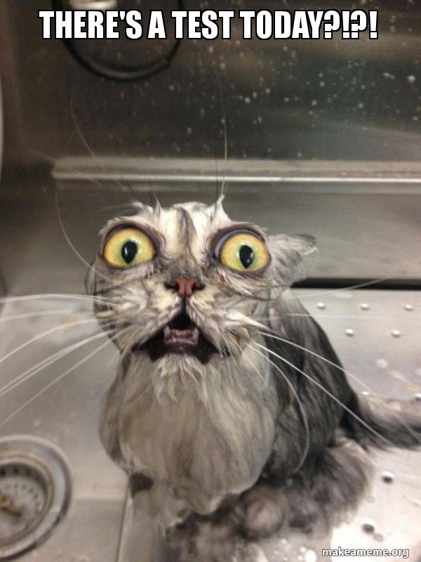 Test Today Memes Everyone Ready For The Test Today?" ......Whaaaaaat?