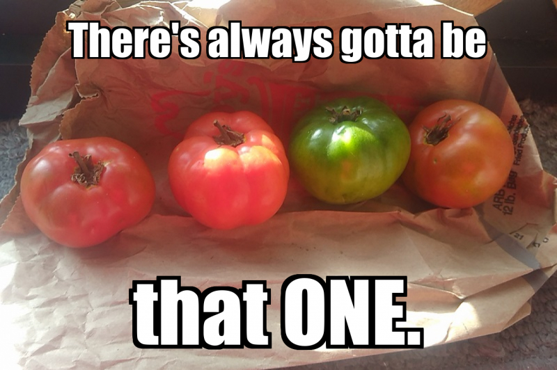 There's always gotta be that ONE. | Make a Meme