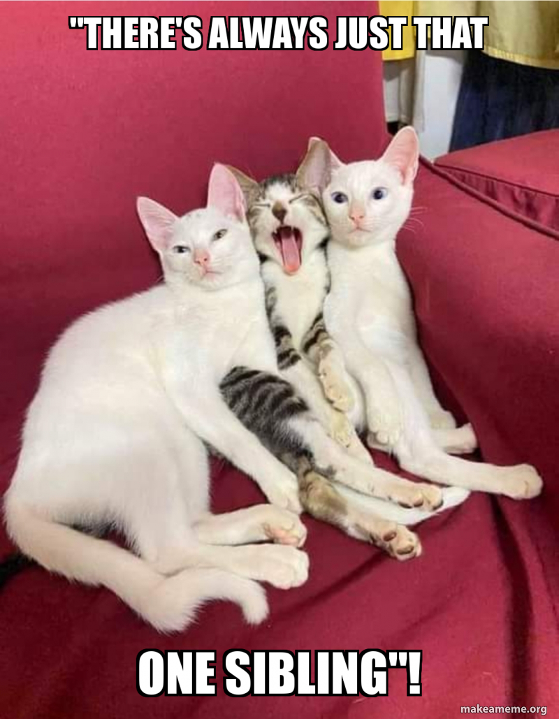 "There's always just that One sibling"! Meme Generator