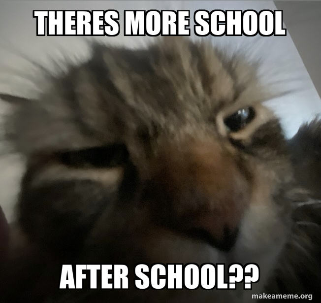 THERES MORE SCHOOL after school?? Meme Generator