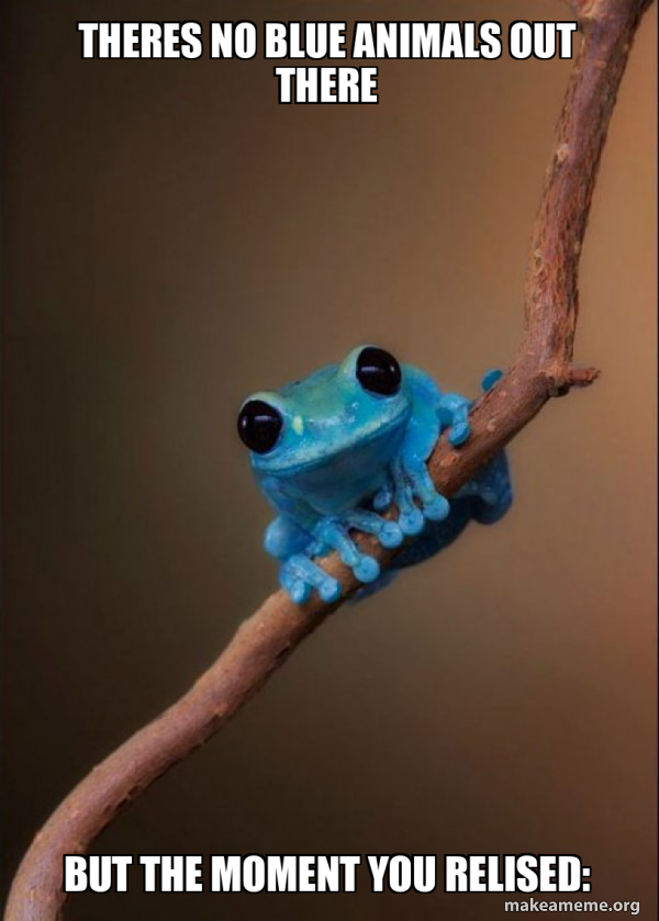 theres no blue animals out there but the moment you relised: - Small ...