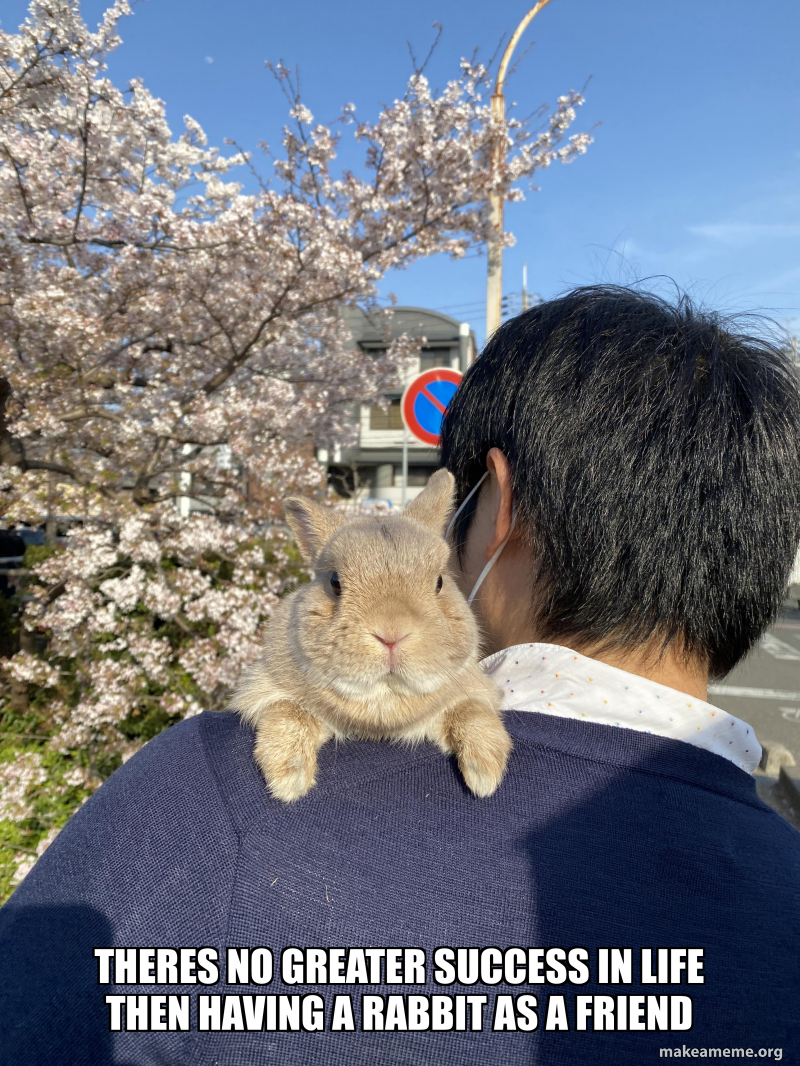Theres no greater success in life then having a rabbit as a friend Meme ...
