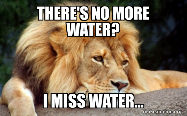 THERE'S NO MORE WATER? I miss water... - Confession Lion Meme Generator