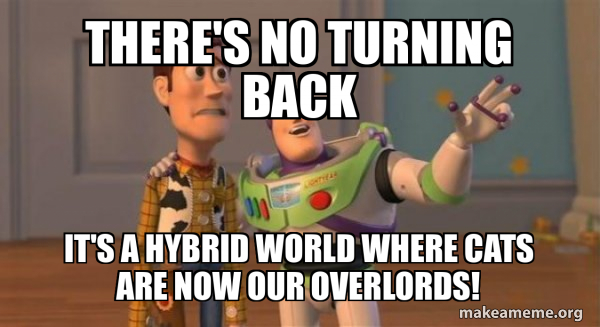 There's no turning back It's a hybrid world where cats are now our ...