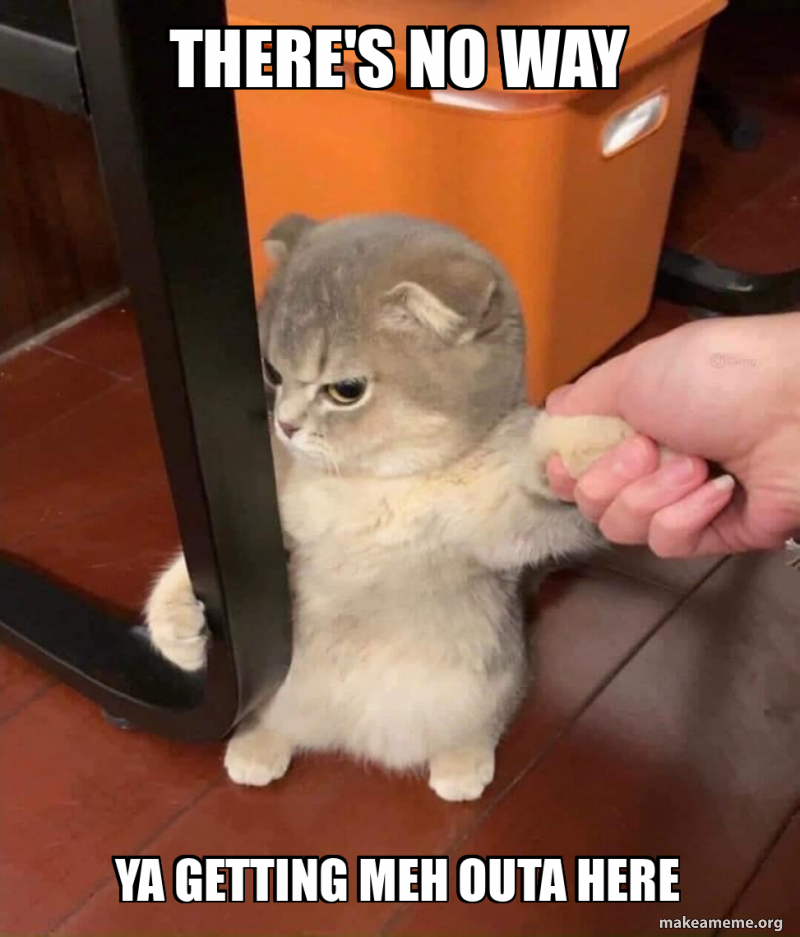 There's no way Ya getting meh outa here Meme Generator