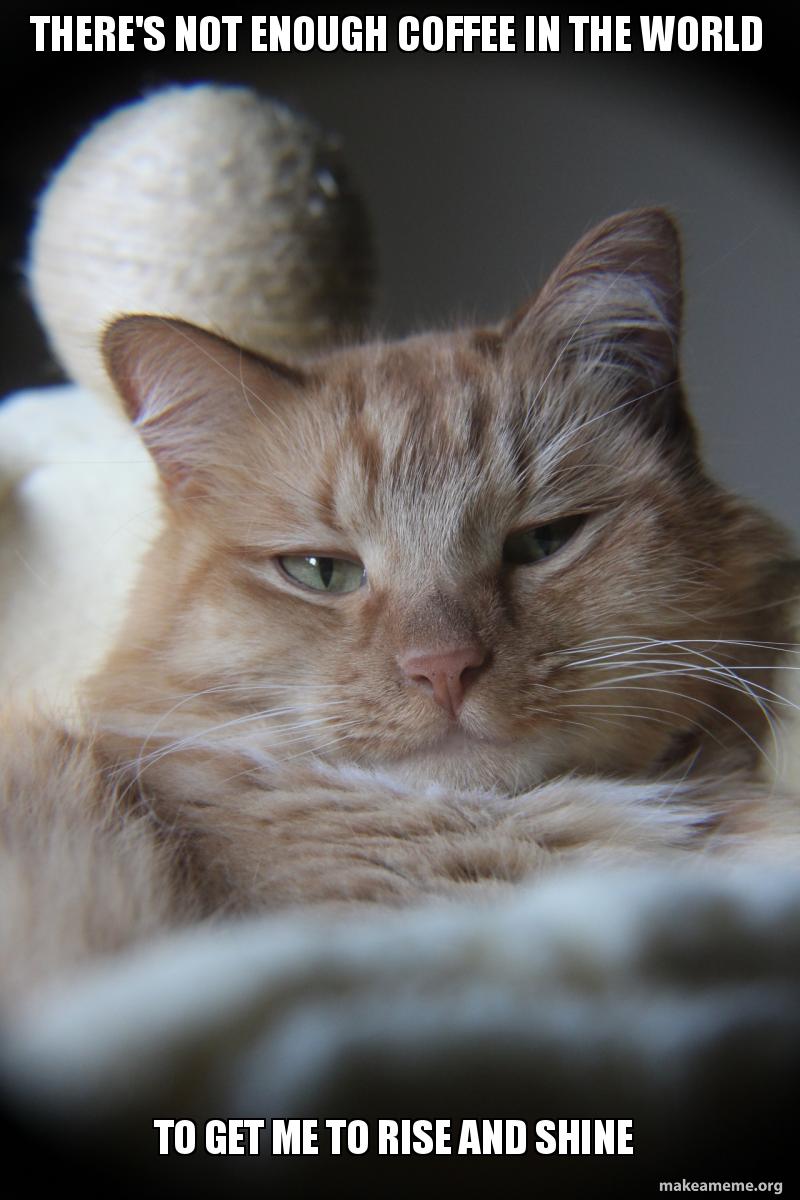 There's not enough coffee in the world To get me to rise and shine ...