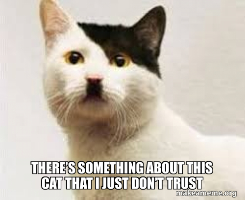 There’s something about this cat that i just don’t trust Meme Generator