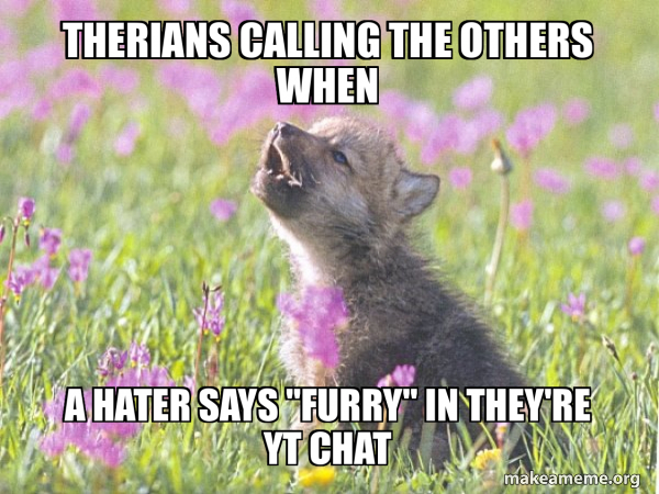 Therians calling the others when a hater says "furry" in they're yt ...