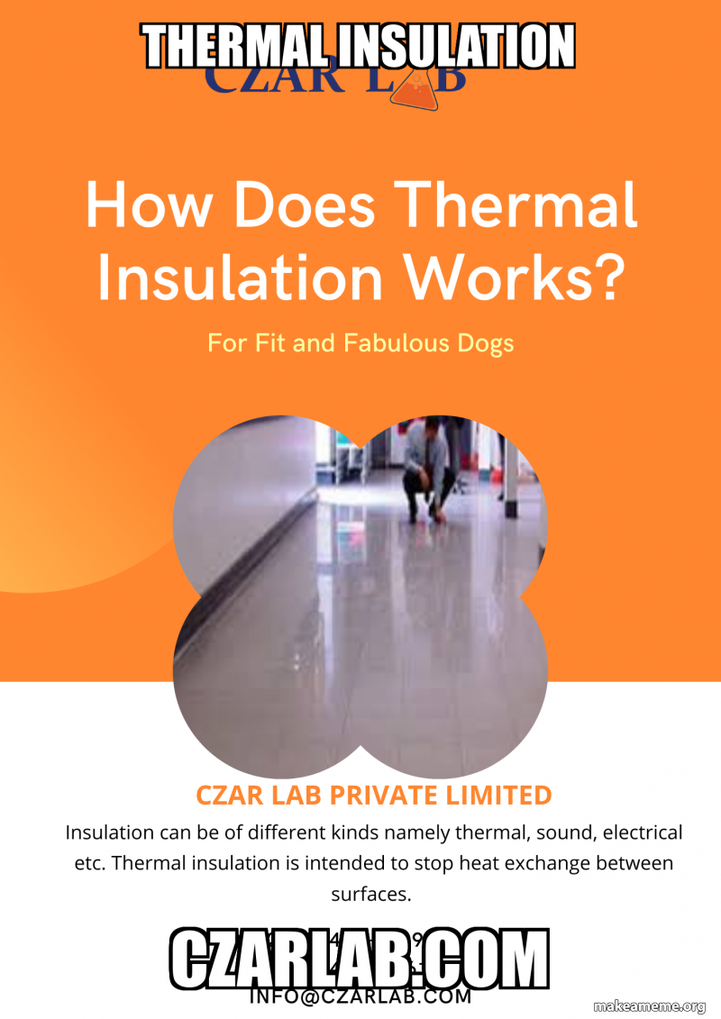 Thermal Insulation czarlab.com - czarlab.com Meme Generator