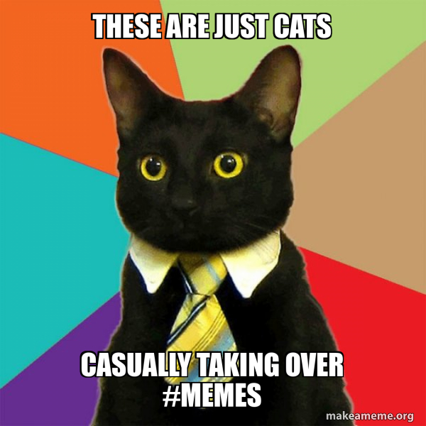 These are just cats Casually taking over #memes - Business Cat Meme ...