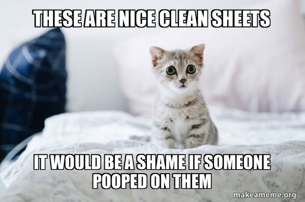 THESE ARE NICE CLEAN SHEETS IT WOULD BE A SHAME IF SOMEONE POOPED ON ...
