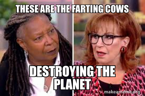 these are the farting cows destroying the planet Meme Generator