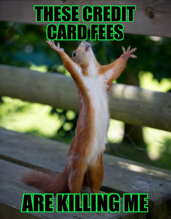 these credit card fees are killing me - Happy Squirrel Meme Generator