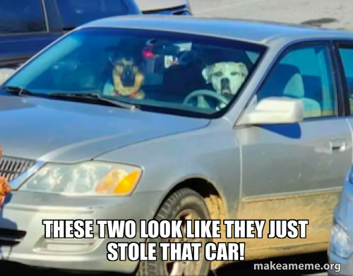 These two look like they just stole that car! Meme Generator