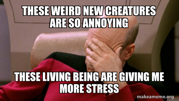 These weird new creatures are so annoying These living being are giving ...