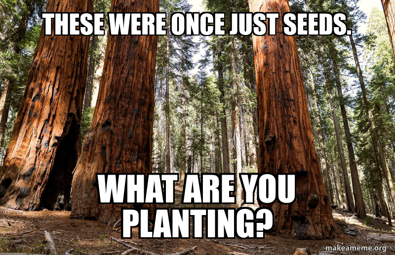 THESE WERE ONCE JUST SEEDS. What are you planting? Meme Generator