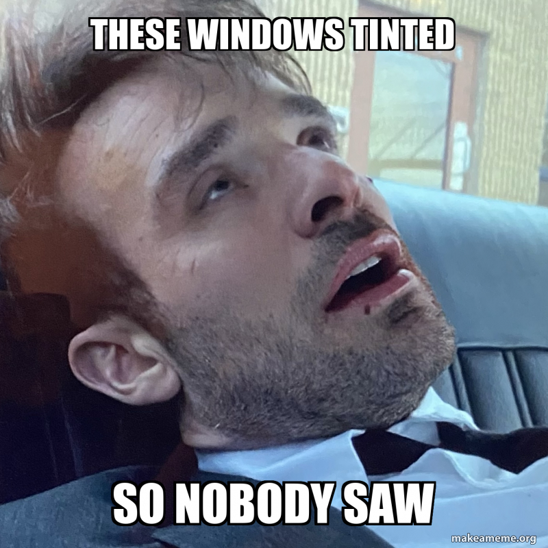 THESE WINDOWS TINTED SO NOBODY SAW Meme Generator