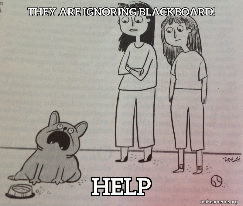 They are ignoring blackboard! help Meme Generator